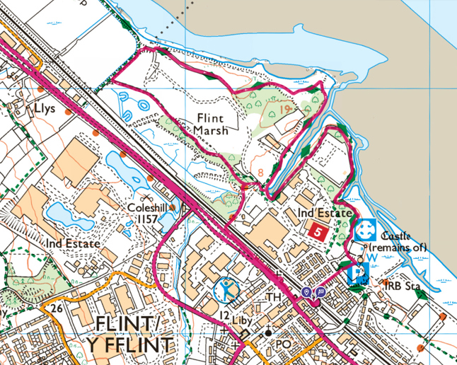 Wales Coast Path / Flint Marsh